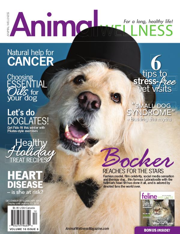 Animal Wellness Magazine Dec/Jan 2014 | Joomag在线报刊亭